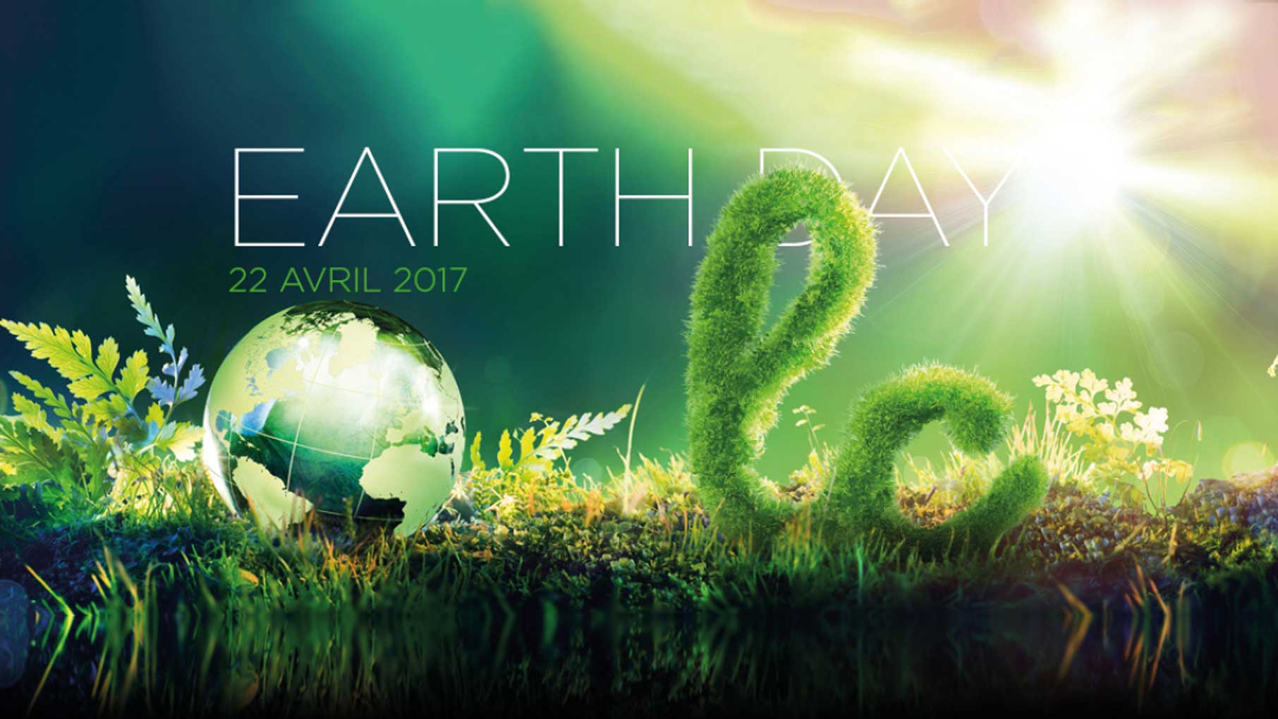 Journée Mondiale de la terre - Loïc CUEFF CV